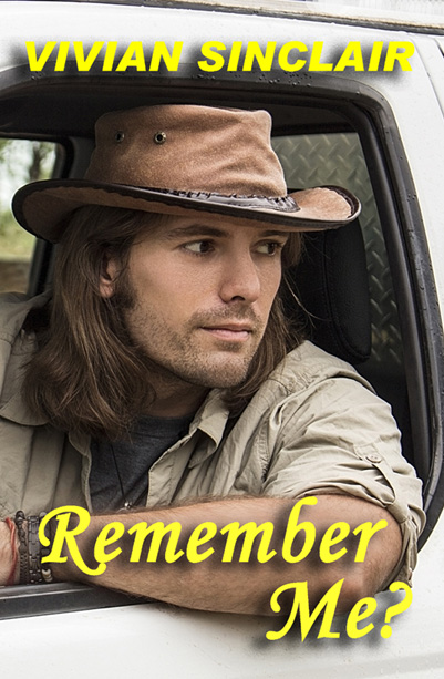 Vivian Sinclair Books